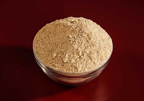 Services - Global Trade International